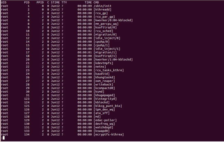 Top ps Command Examples to Monitor Your Linux Processes | Atlantic.Net