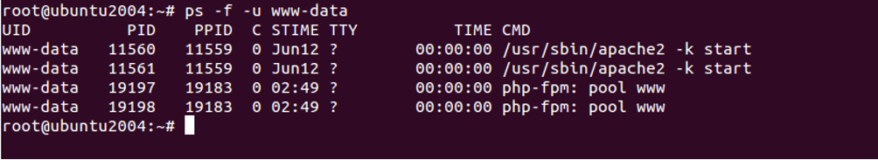 Top ps Command Examples to Monitor Your Linux Processes | Atlantic.Net
