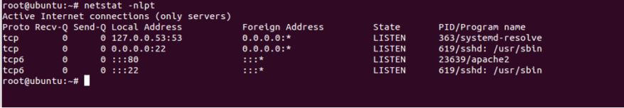 Netstat Command Line Tips and Tricks | Atlantic.Net