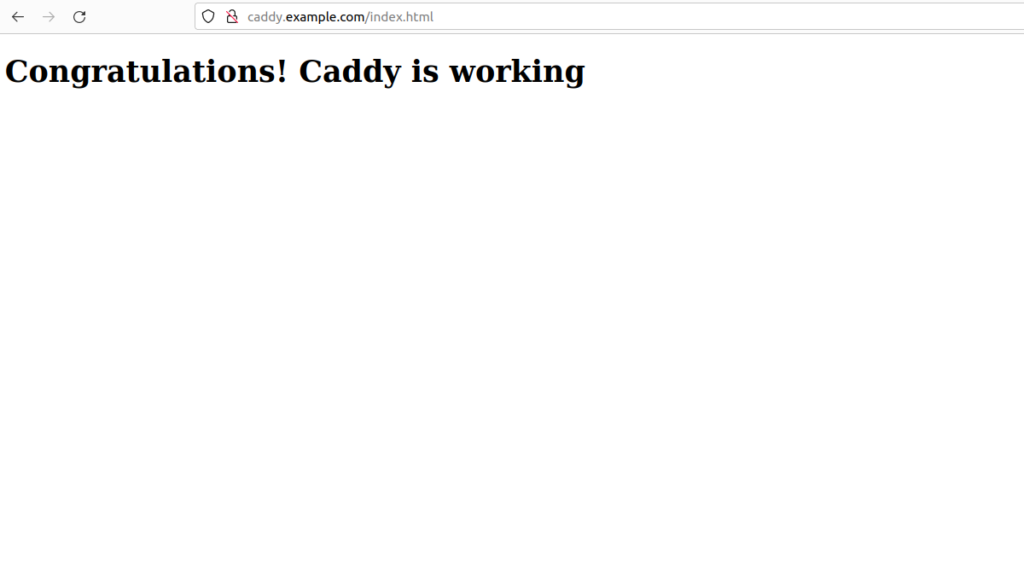 How to Install Caddy Web Server on Fedora | Atlantic.Net